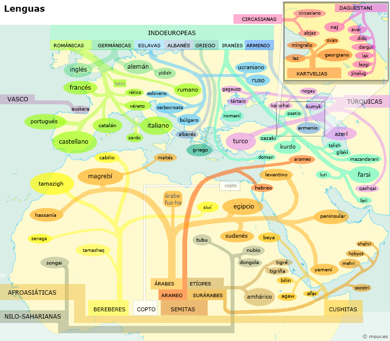 Lenguas. Los 85 idiomas hablados en el Mediterráneo - M'Sur